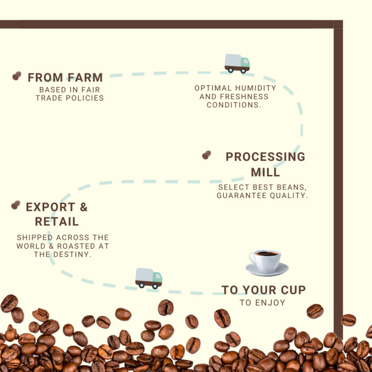 The supply chain of Colombian coffee | Urbantz